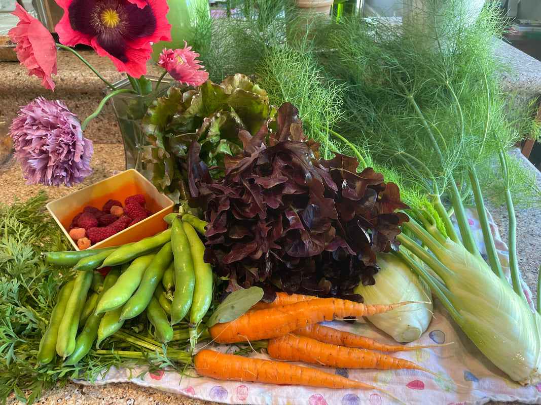 About – Sugar Moon Gardens