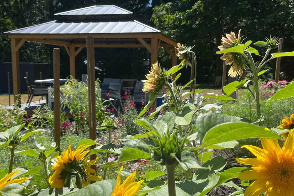 About – Sugar Moon Gardens
