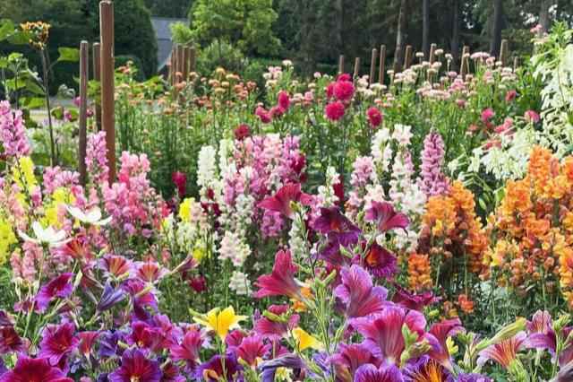 About – Sugar Moon Gardens