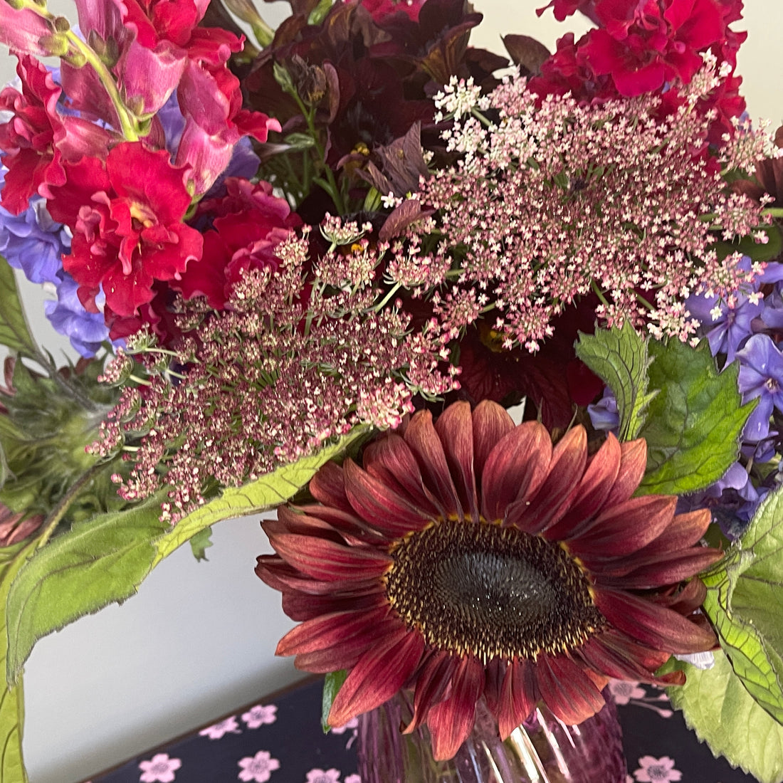 Seeds:‎ Dara – Sugar Moon Gardens