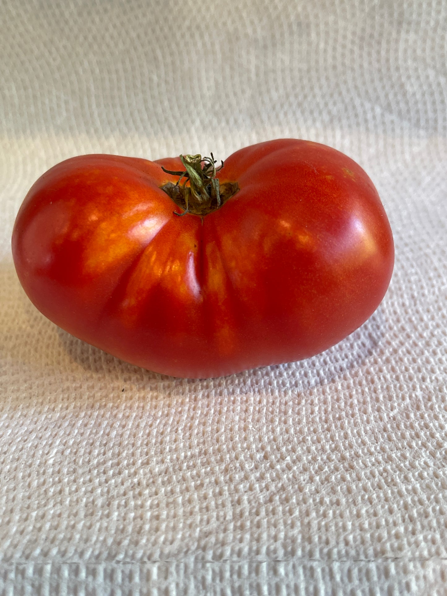 Seeds:‎ Tomato - Sweet Scarlet – Sugar Moon Gardens