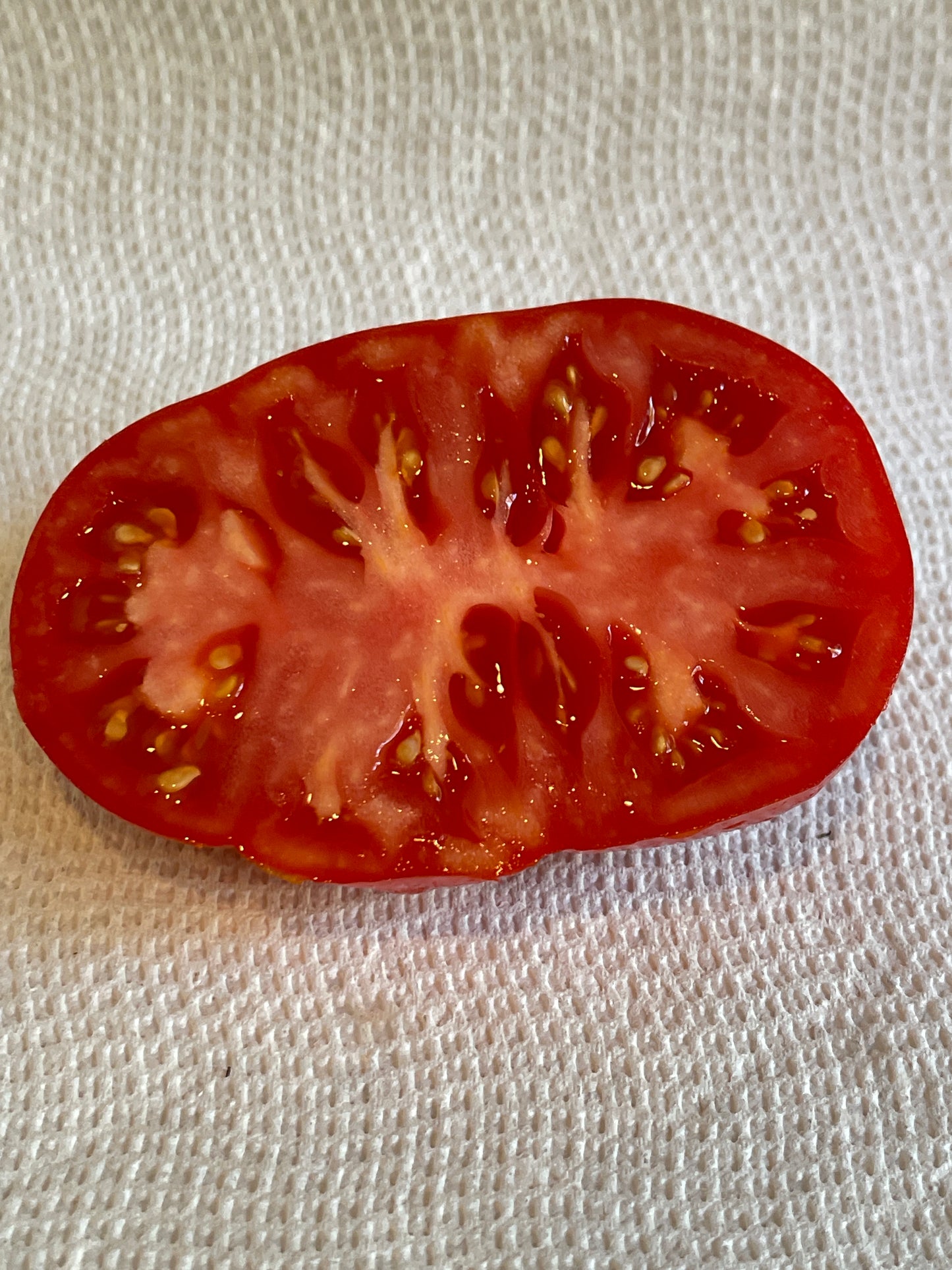 Seeds:‎ Tomato - Sweet Scarlet – Sugar Moon Gardens