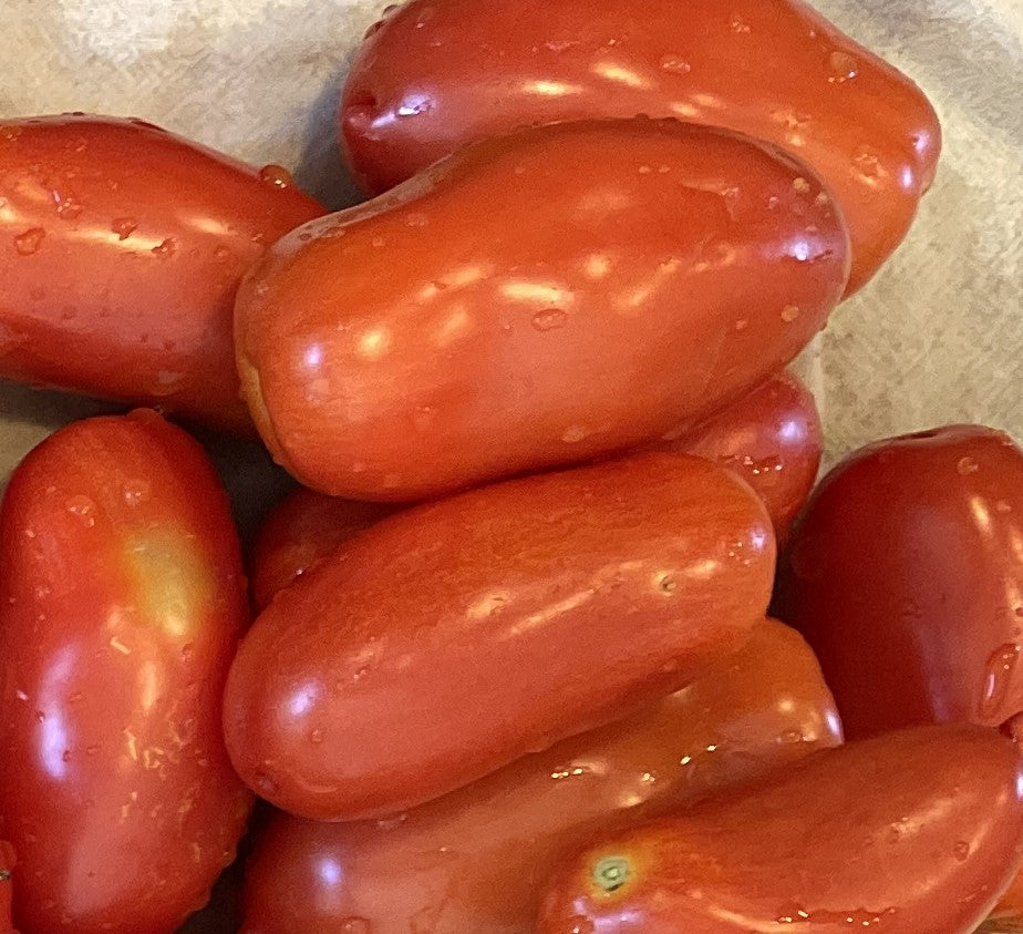 Seeds:‎‎ Tomato - Oroma (paste) – Sugar Moon Gardens